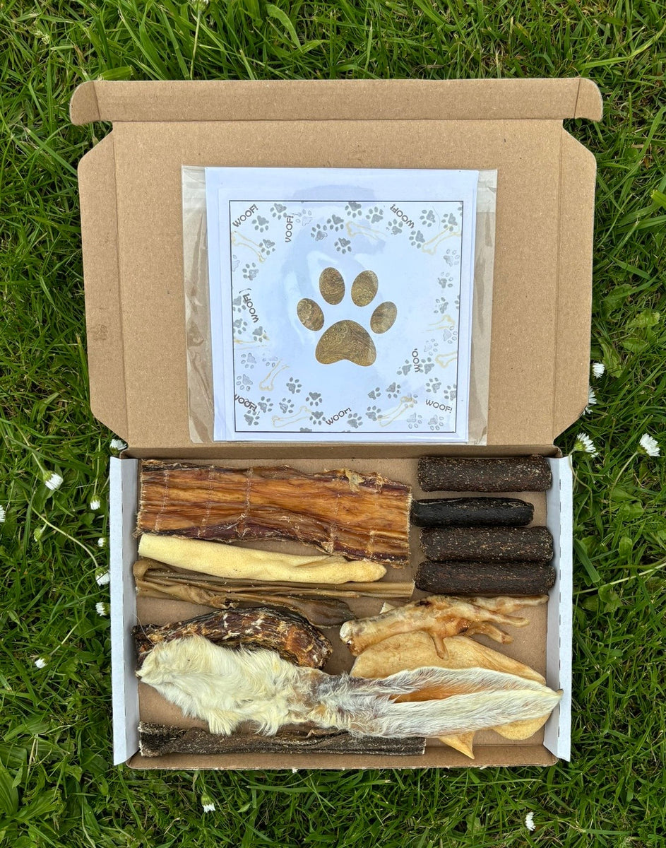 Mailbox Munchies – Two Left Paws